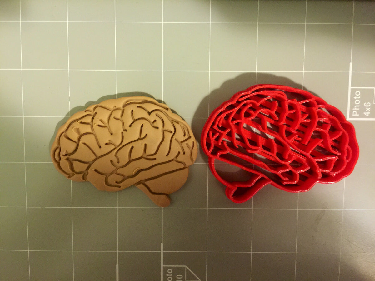 Brain Anatomy Cookie Cutter – Arbi Design - CookieCutz