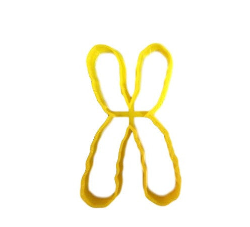 Chromosome Cookie Cutter – Arbi Design - CookieCutz