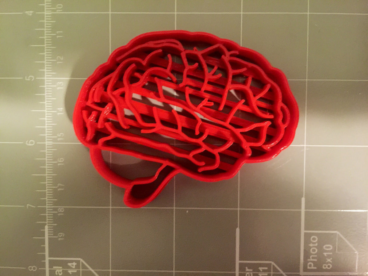 Brain Anatomy Cookie Cutter – Arbi Design - CookieCutz