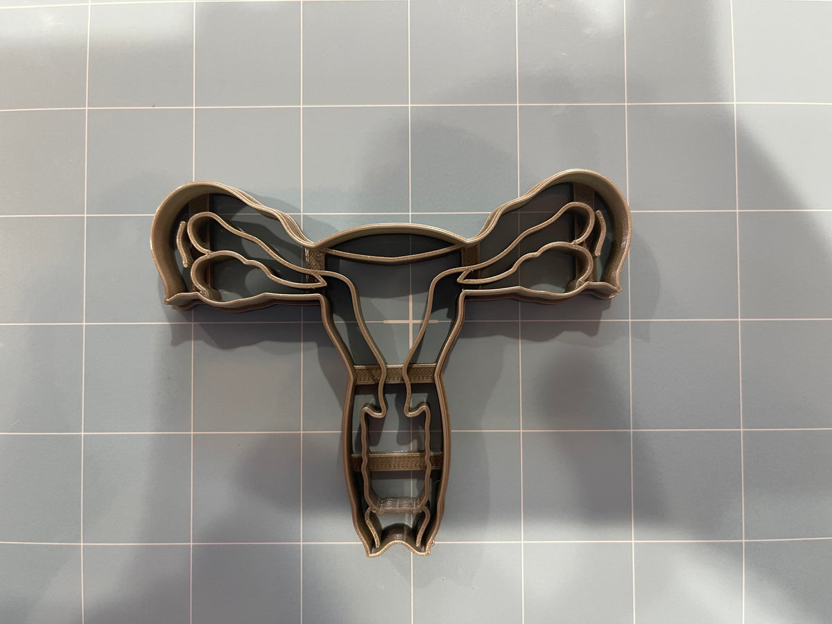 Female Anatomy Cookie Cutter – Arbi Design - CookieCutz