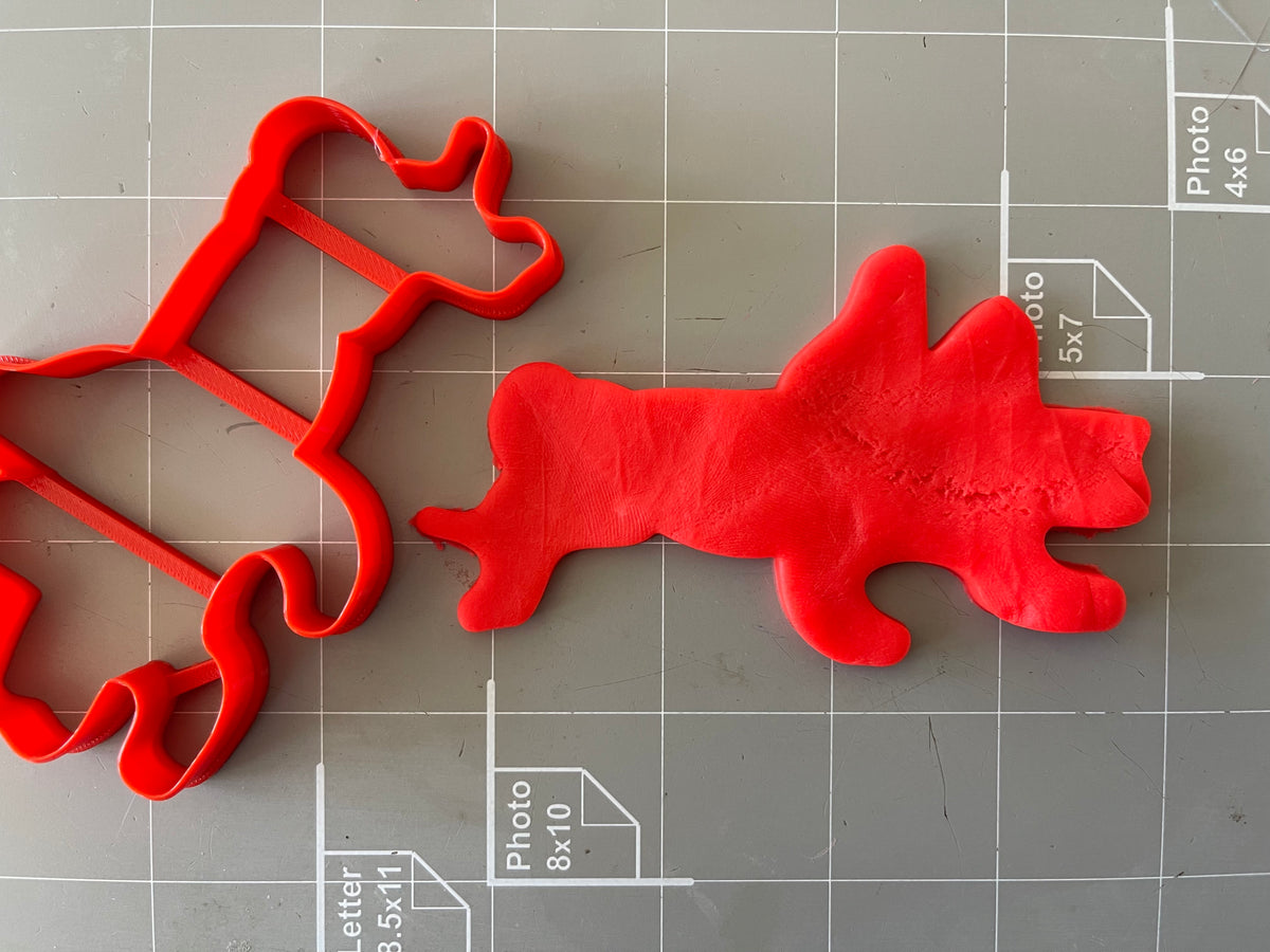 Grasshopper Outline Cookie Cutter – Arbi Design - CookieCutz