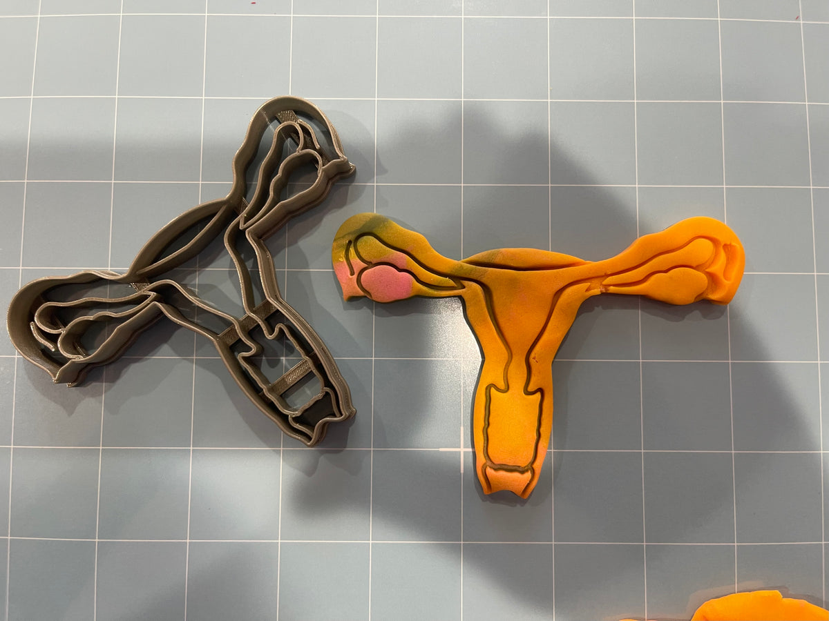 Female Anatomy Cookie Cutter – Arbi Design - CookieCutz